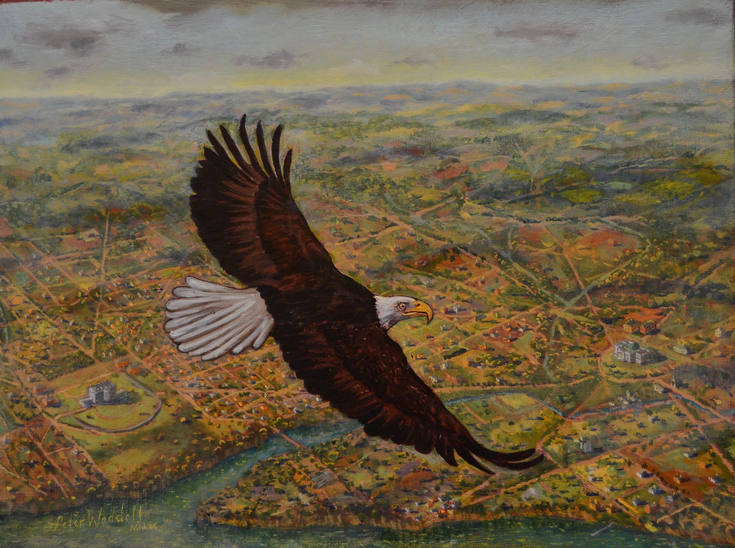 Gallery - Peter Waddell